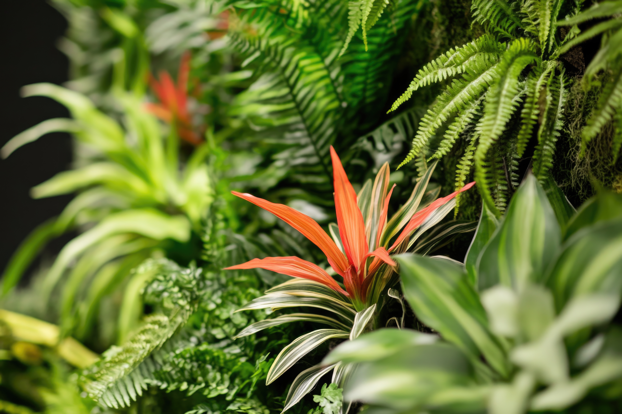 It’s Not You, It’s the Plant: Your Guide to Finding Houseplants That F ...